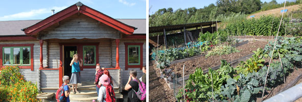 New! Online courses in One Planet Development | The One Planet Centre